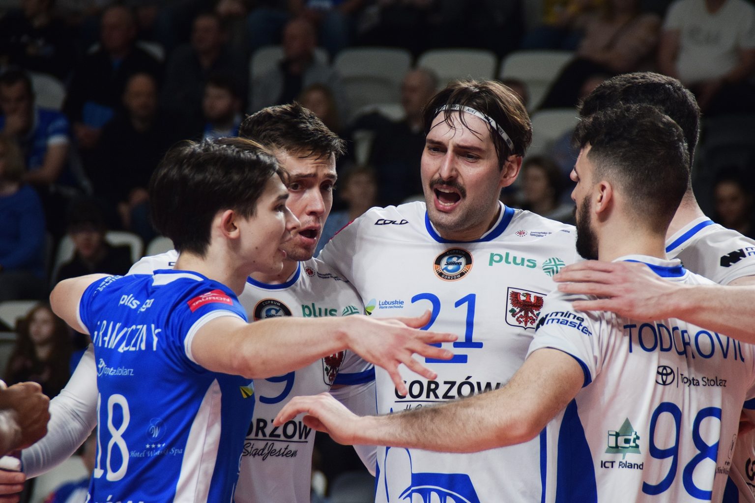 PlusLiga: Co z licencją dla Stilonu Gorzów? Miasto stawia warunki